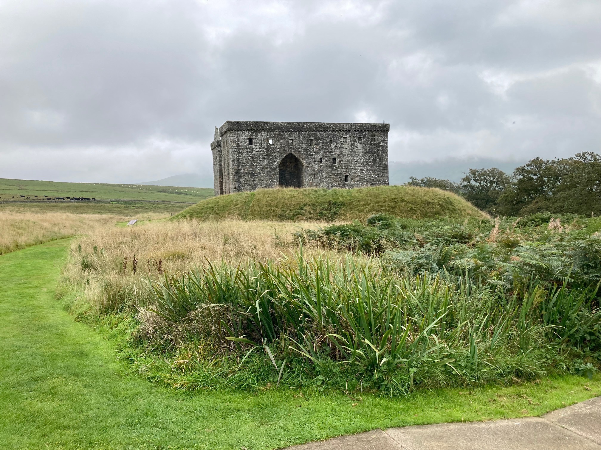 Stacking Rocks | A View of the Lake